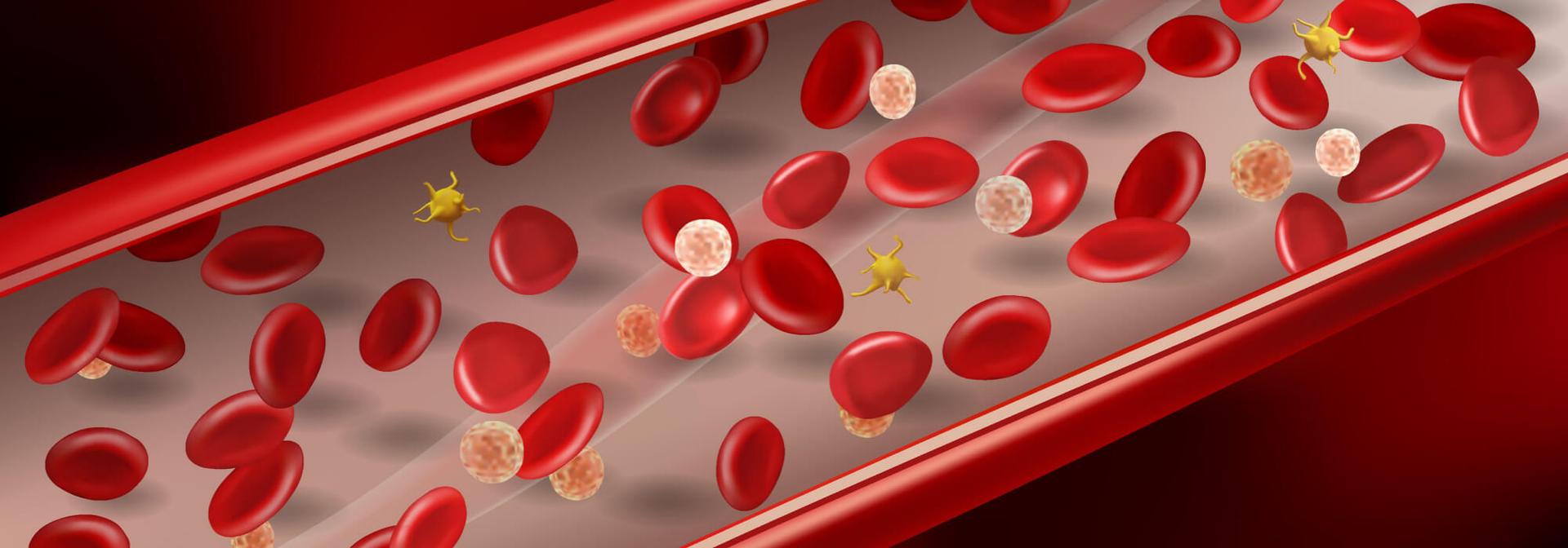 Erytrocyty podwyższone lub poniżej normy - Zdrowegeny.pl