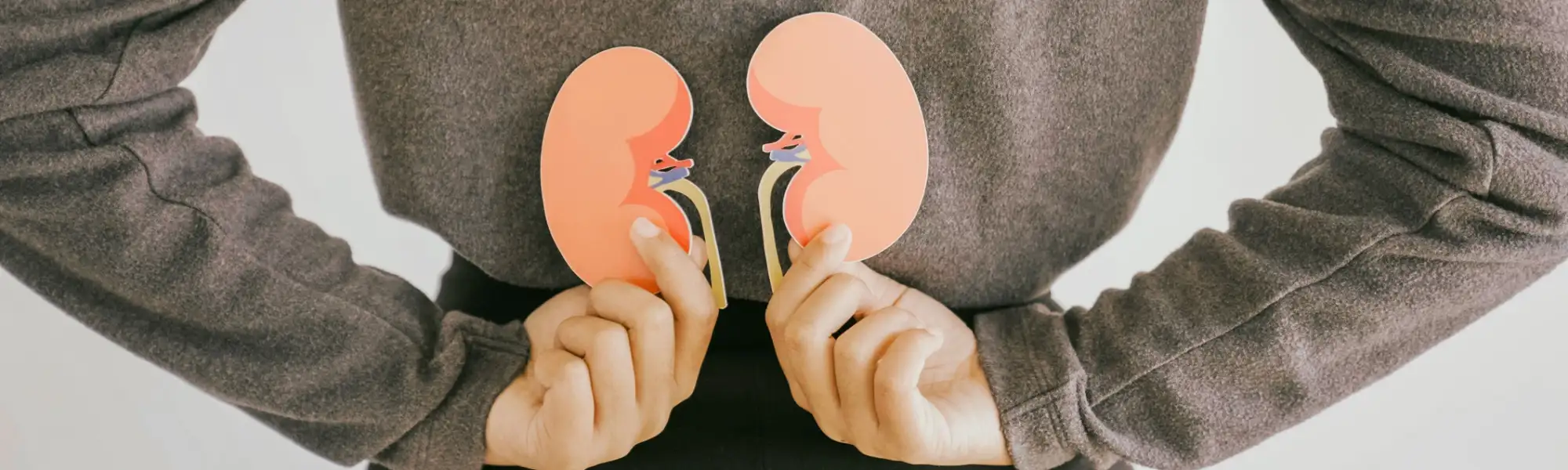 Przewlekła niewydolność nerek-czym jest, przyczyny, objawy, diagnostyka ...