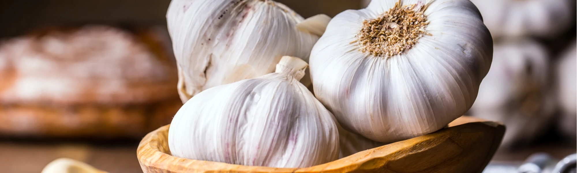 CZOSNEK - właściwości lecznicze i działanie - Longevity Plus