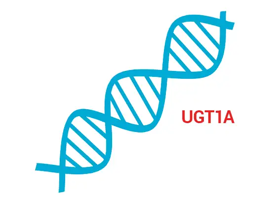 Zespół Gilberta - przyczyny, objawy, diagnostyka i leczenie - Longevity+